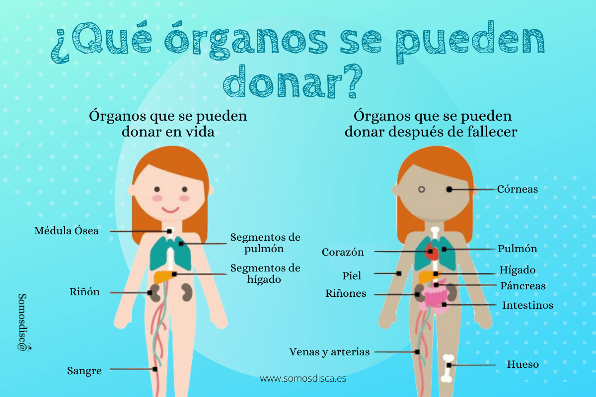 Día nacional del donante de órganos y tejidos 2022 - Somosdisc@